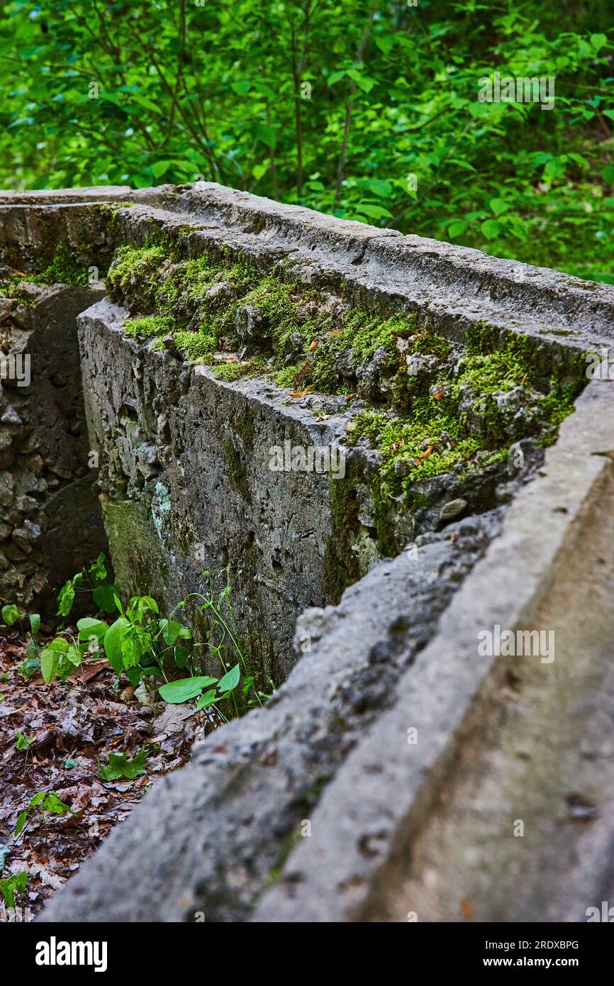 Concrete above ground partial hexagon shaped structure overgrown with ...
