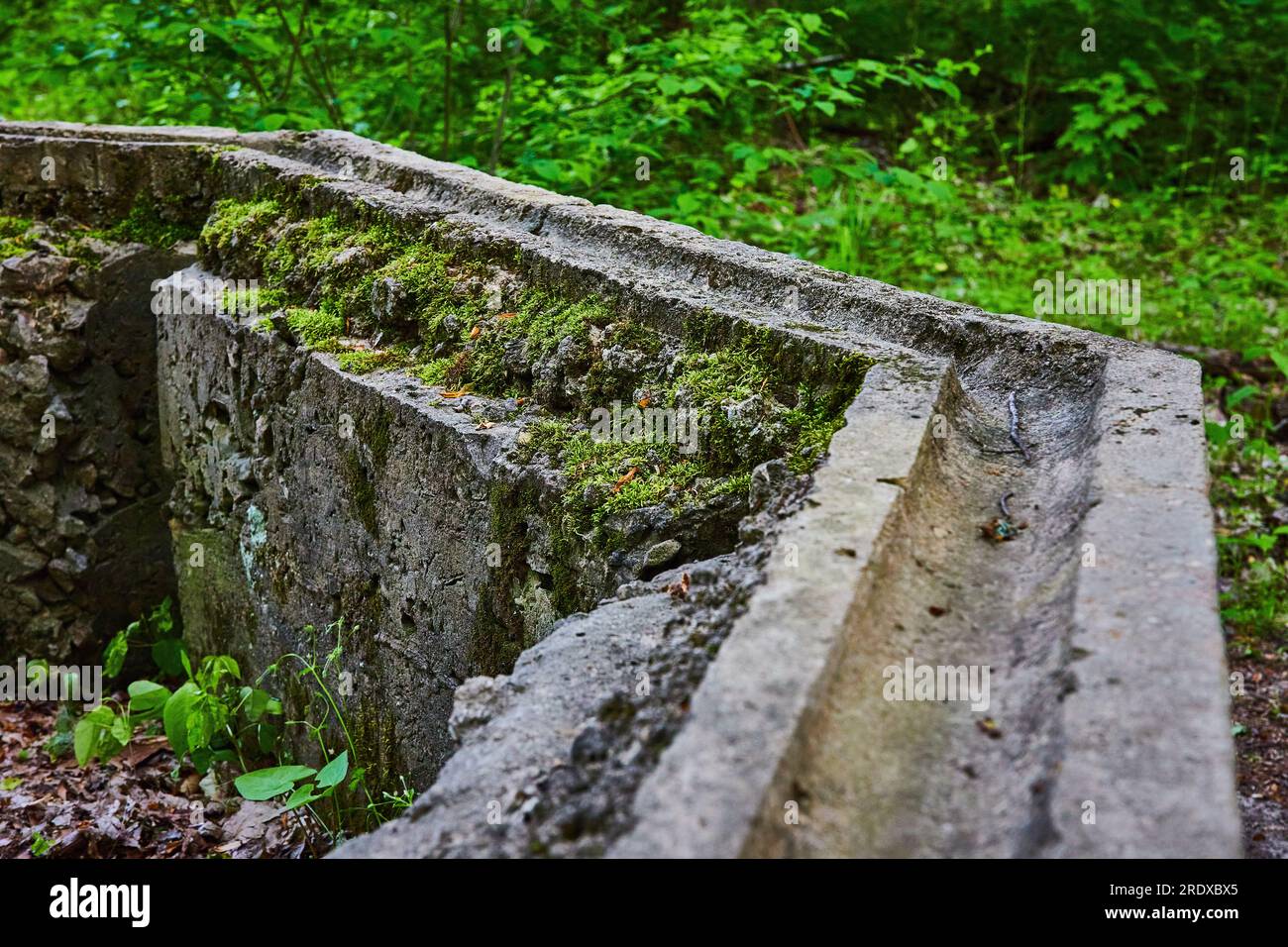Concrete above ground partial hexagon shaped structure overgrown with ...