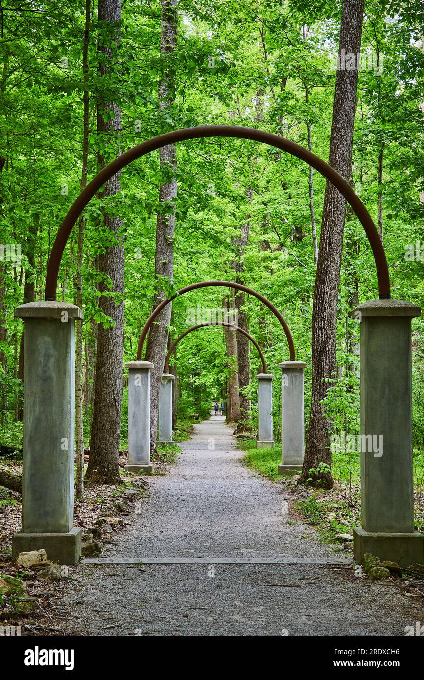 People at end of archway path through lush forest, wall of trees, metal ...