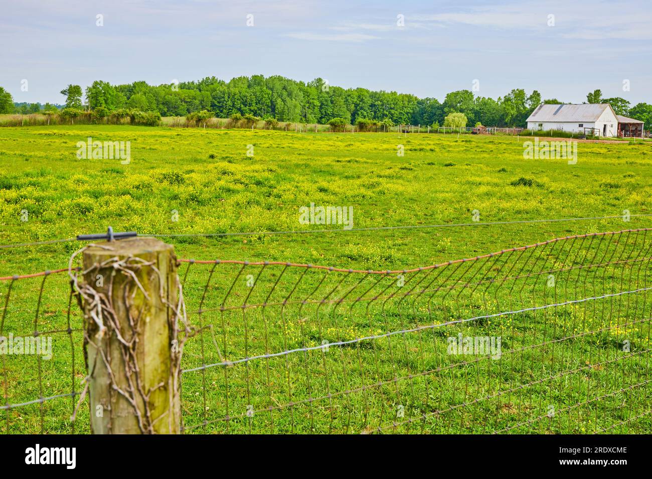 Fence in front of green pasture with distant forest and stables Stock ...