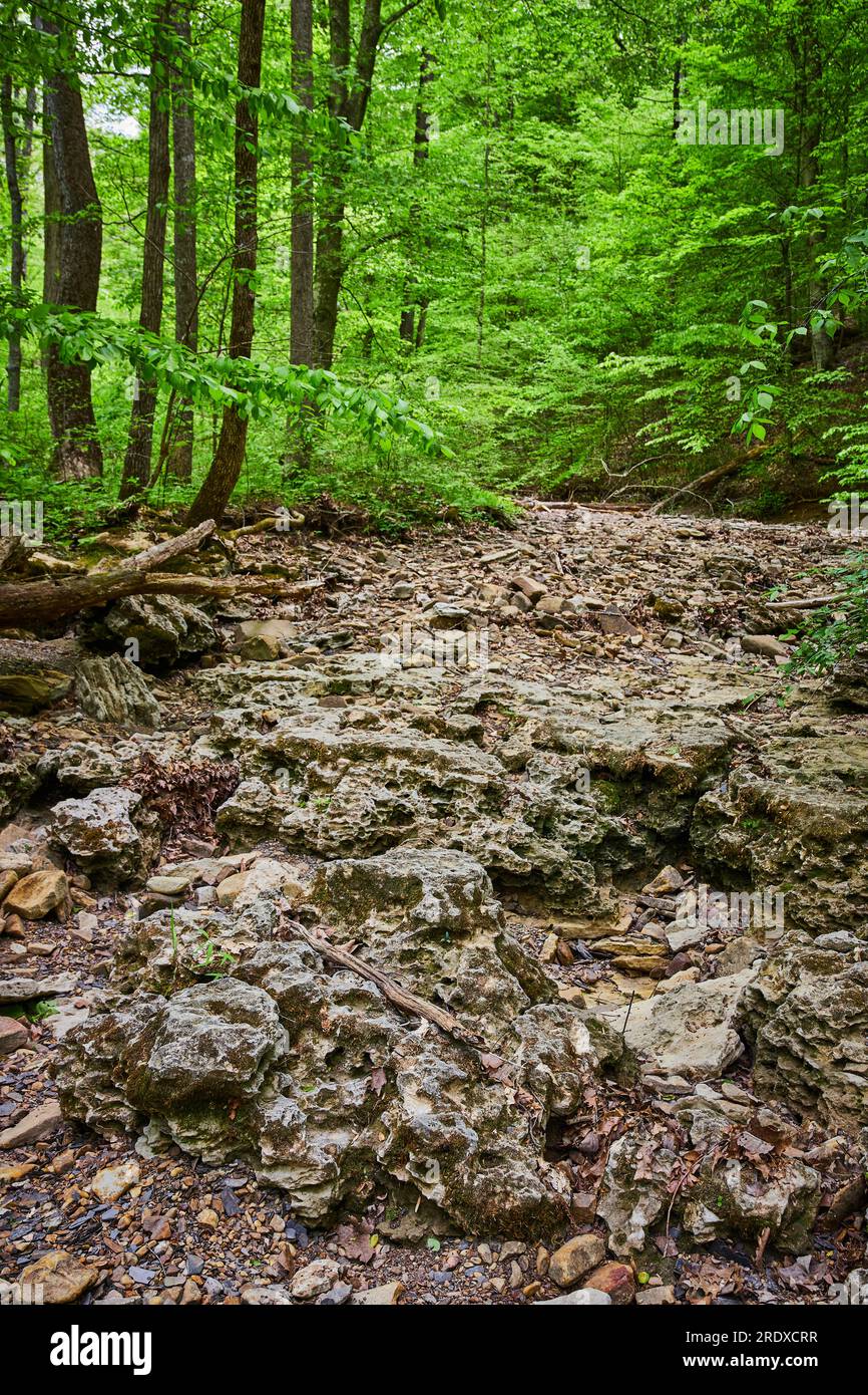 Bone dry limestone riverbed covered in debris and rocks in lush green ...