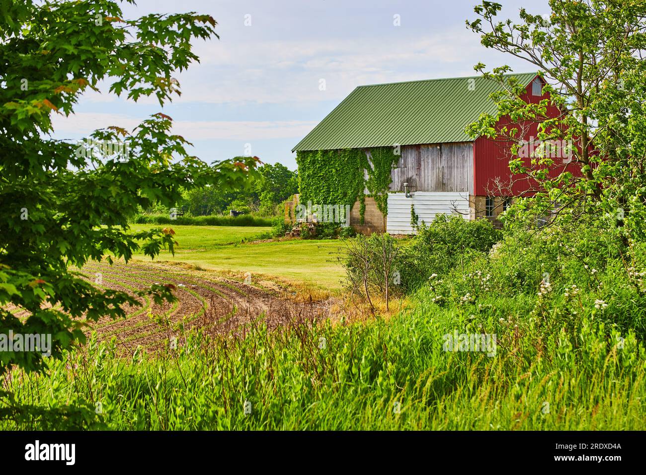 Italian themed barn hi-res stock photography and images - Alamy