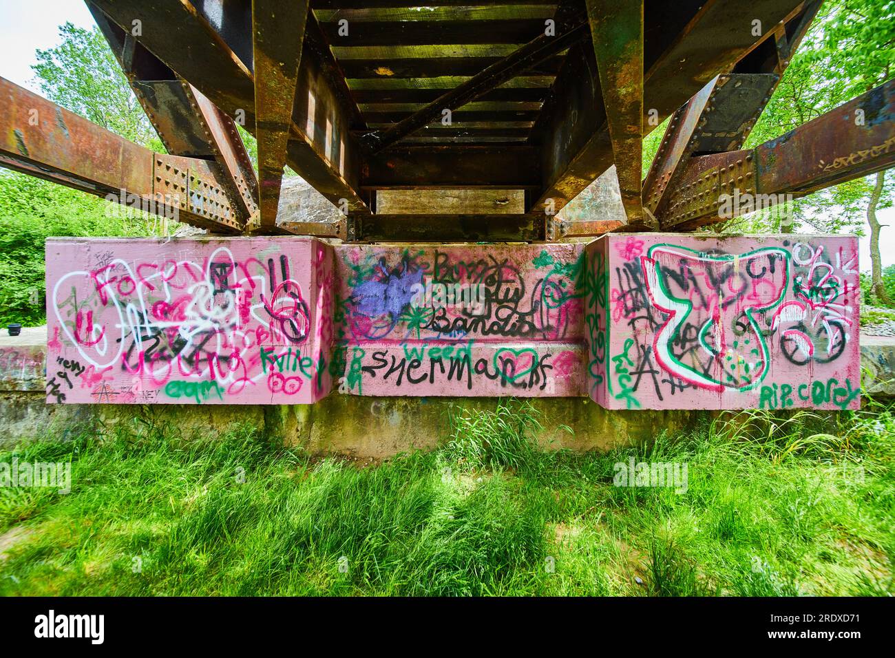 Pink Wall With White And Green And Black Graffiti Under Train Tracks Of