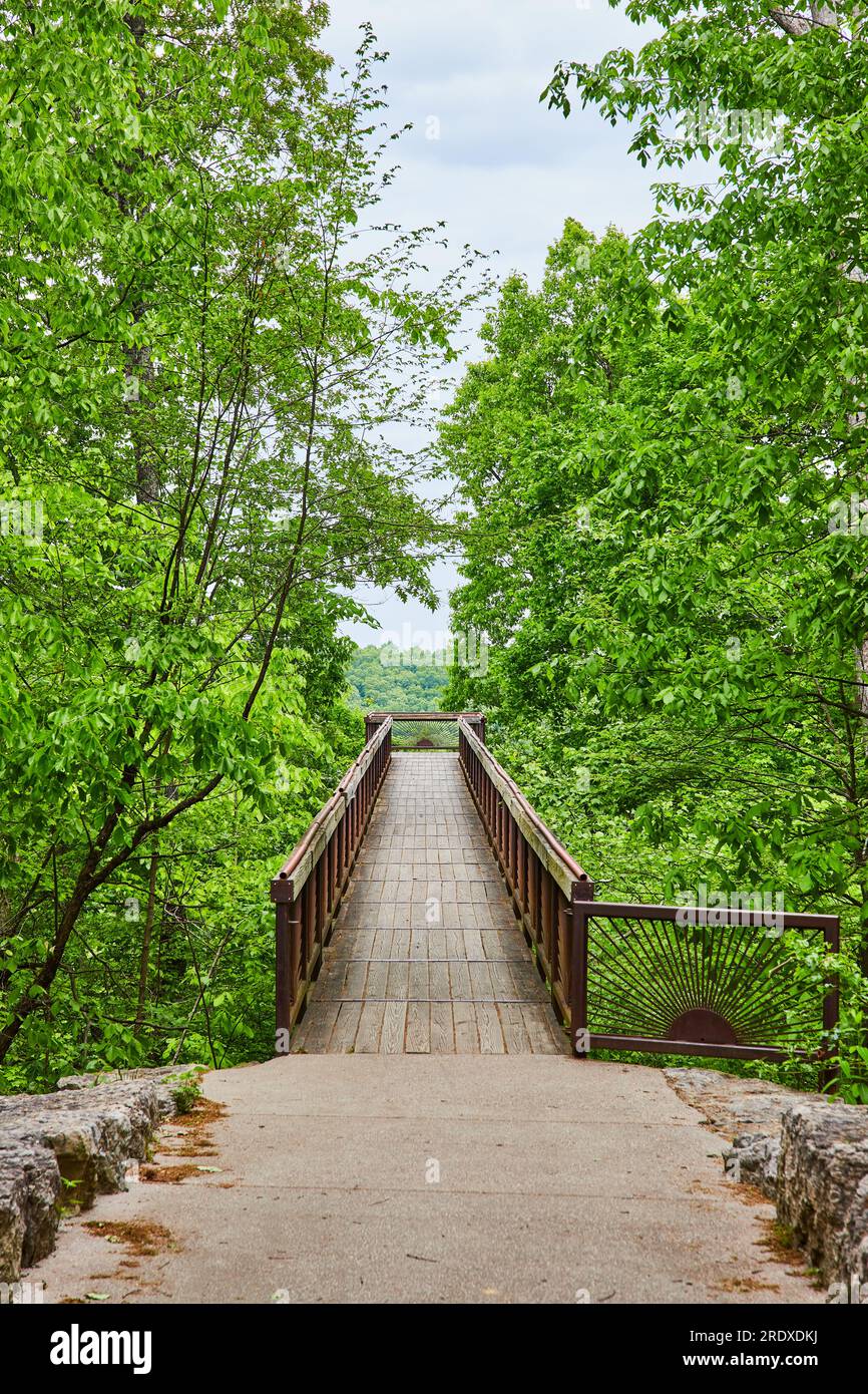 Vertical view of treetop canopy bridge with rising sun pattern on ...