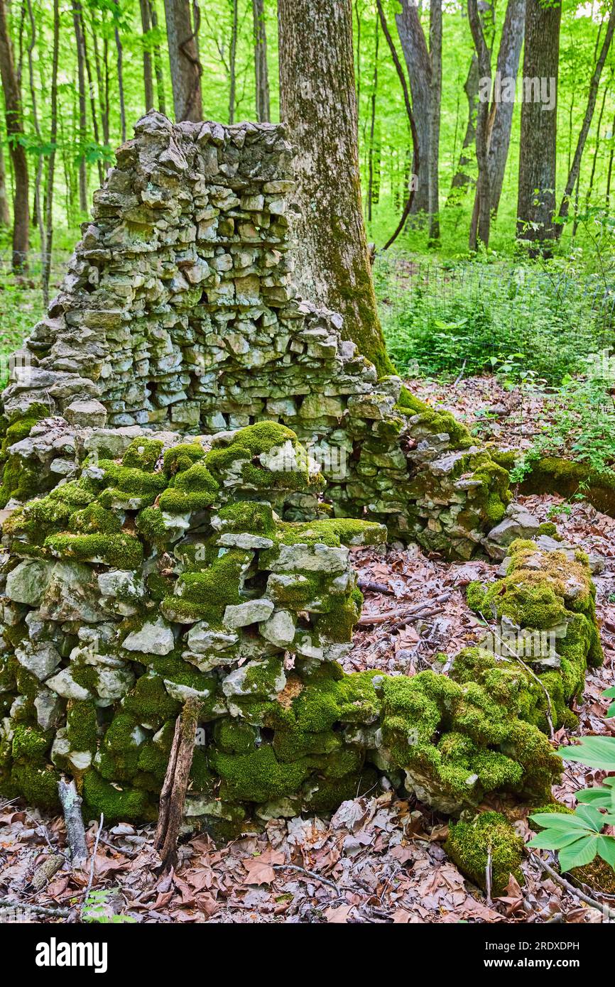Destroyed building in forest, old, abandoned, decaying stone structure ...