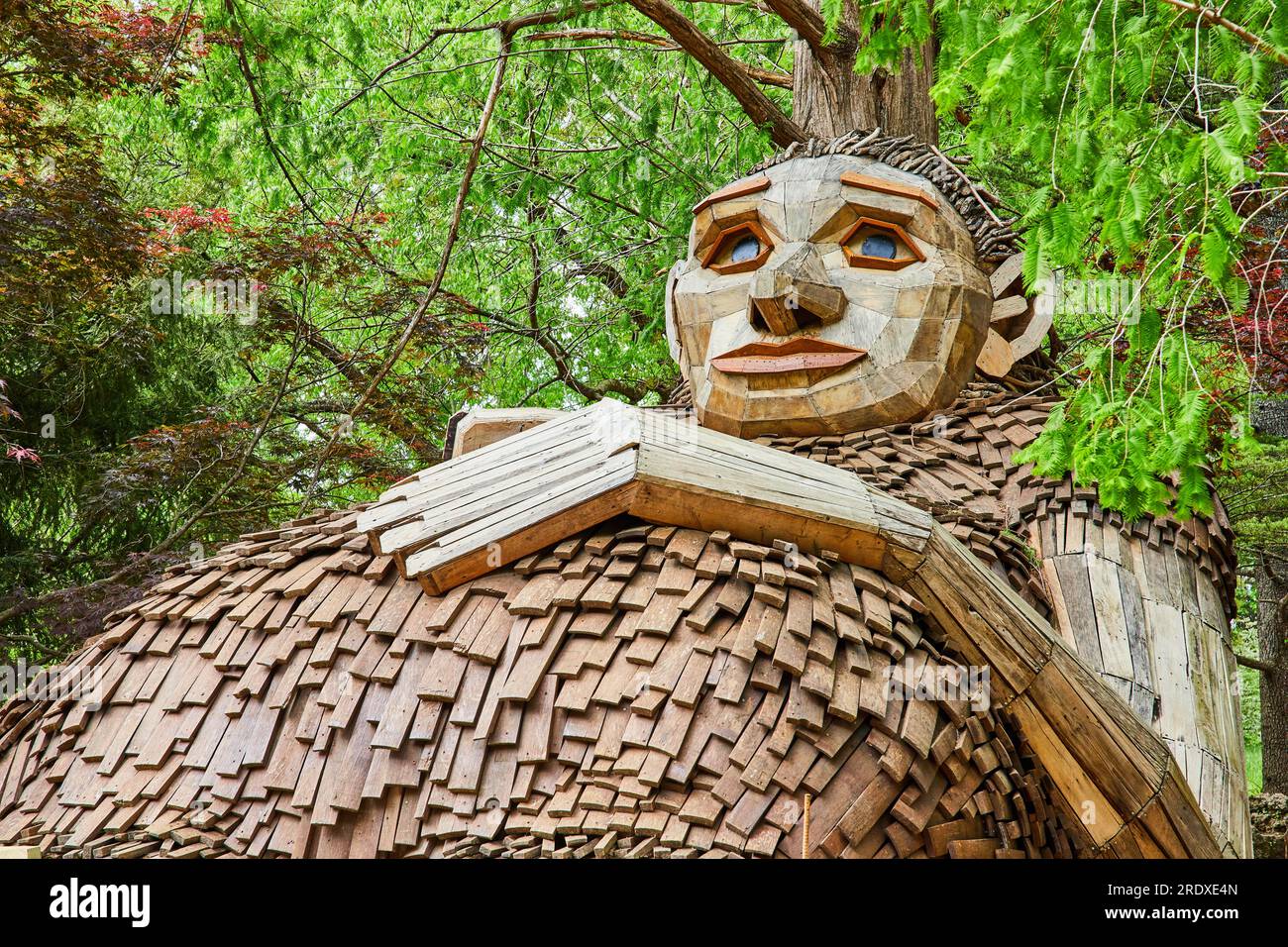 Friendly forest giant Mama Loumari with hand on baby bump as she rests ...