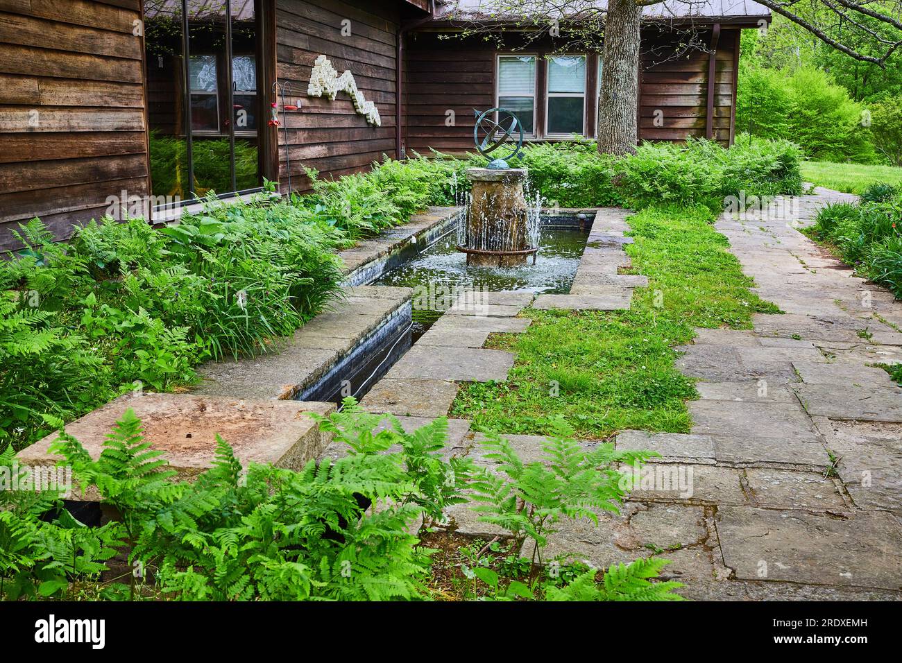Stone path around modern wood cabin with ferns growing along fancy ...