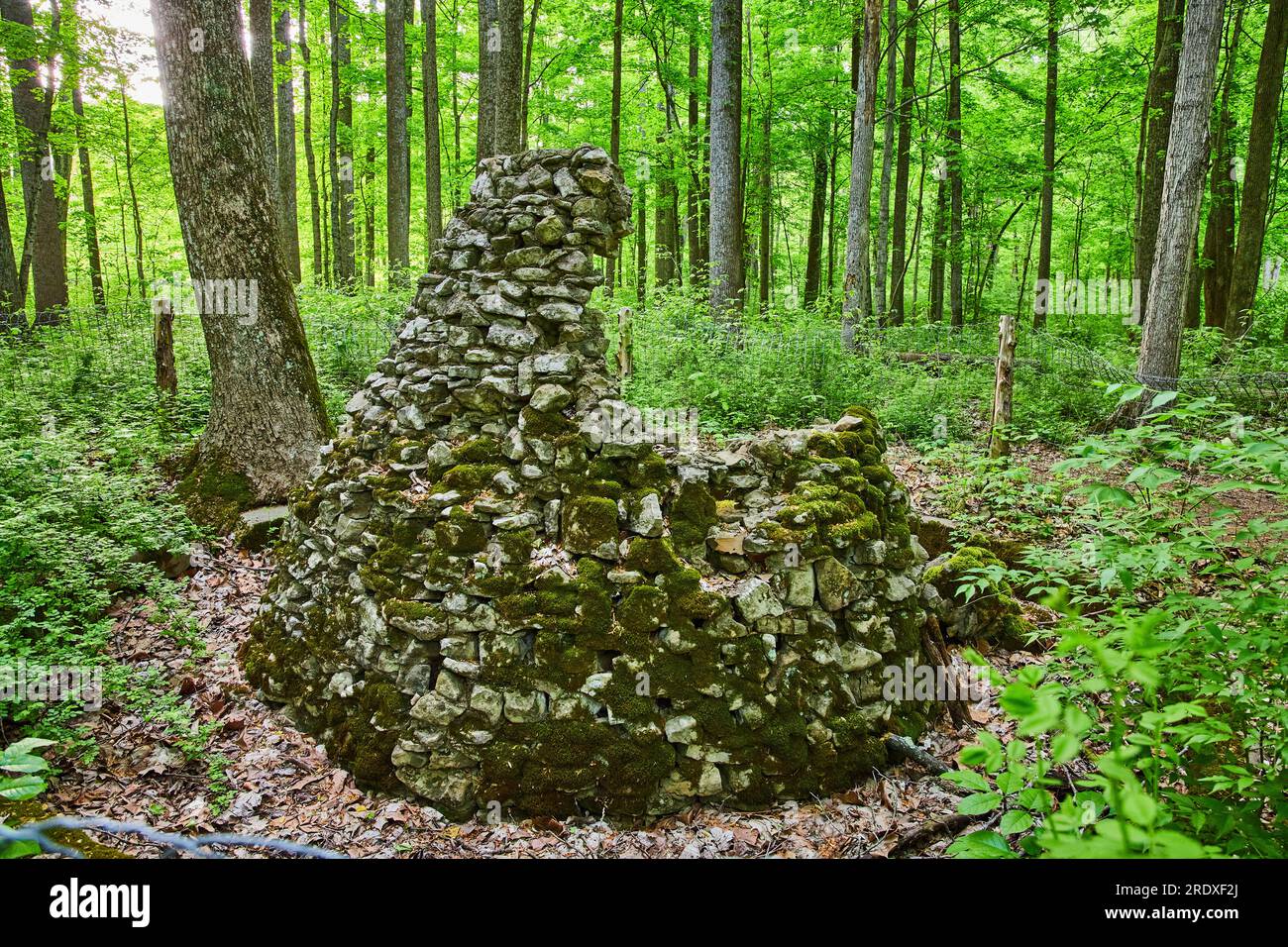 Abandoned decaying brick hut, moss on stone, overgrown, lost in forest ...
