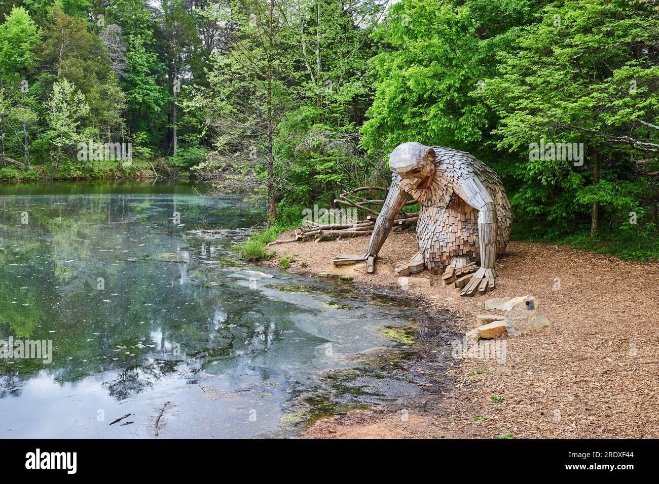 Big friendly giant sitting on mulch on lakeshore looking sadly at dirty ...