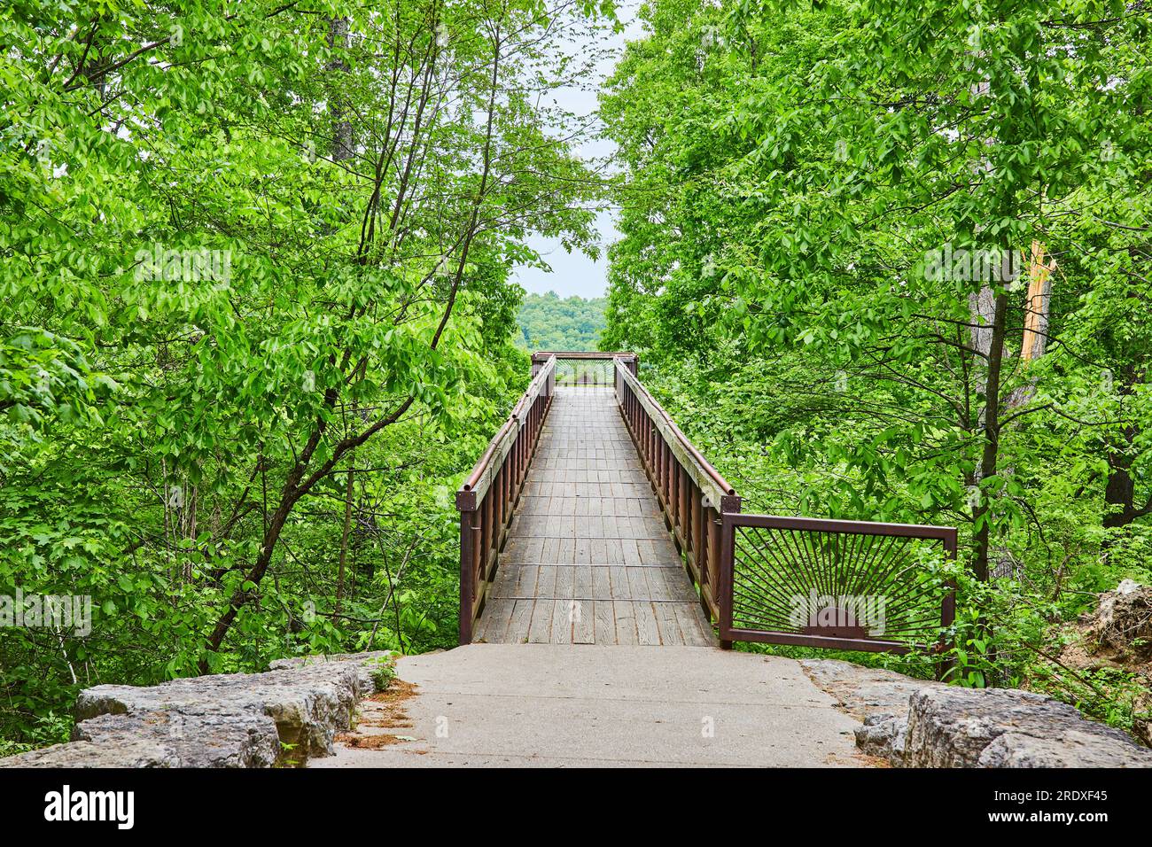 Treetop canopy bridge with rising sun pattern on railing Stock Photo ...