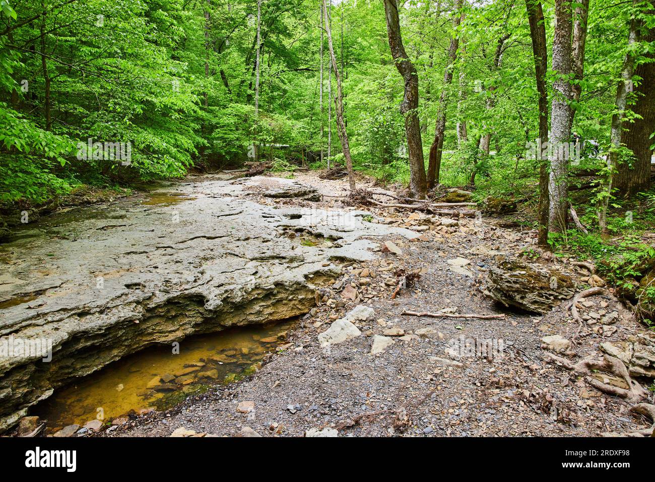 Exposed limestone riverbed hi-res stock photography and images - Alamy