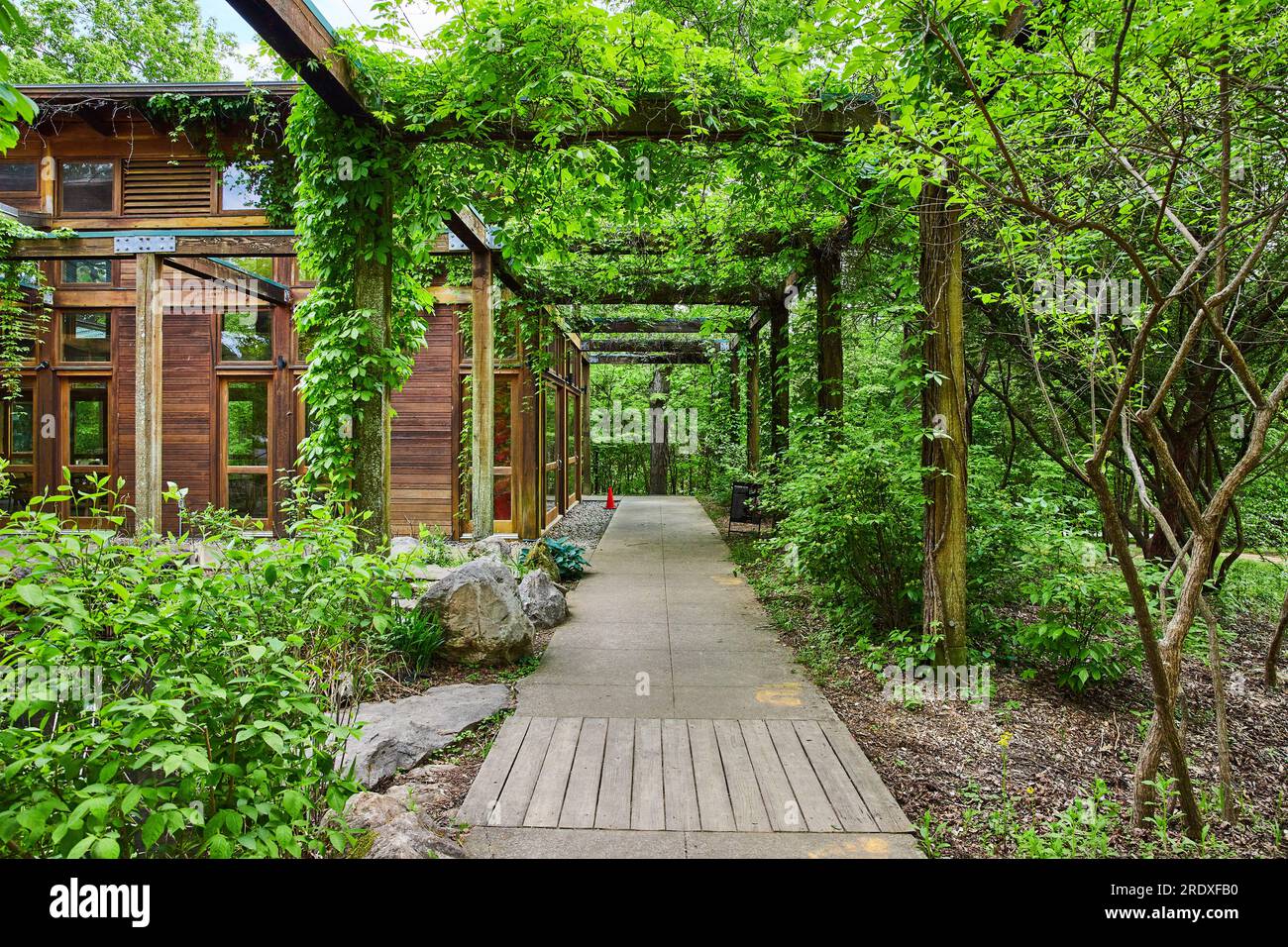 Gorgeous nature trail with green vines on pergola overhead and gorgeous ...