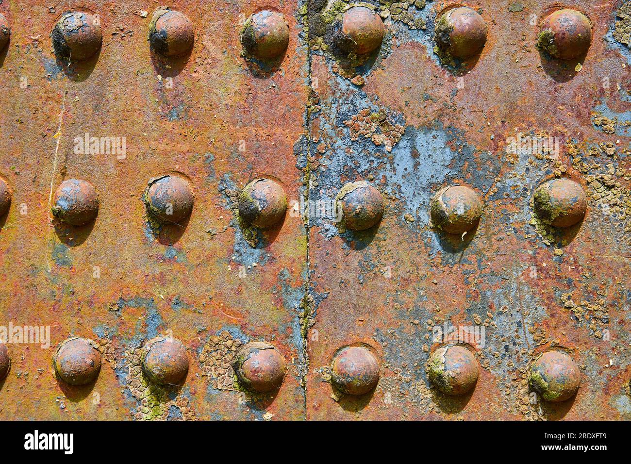 Background asset colorful rivets on industry iron metal corroding with ...
