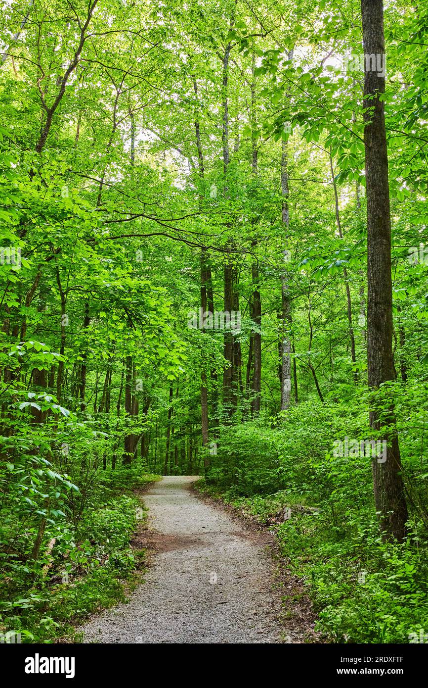 Large and small woods hi-res stock photography and images - Alamy