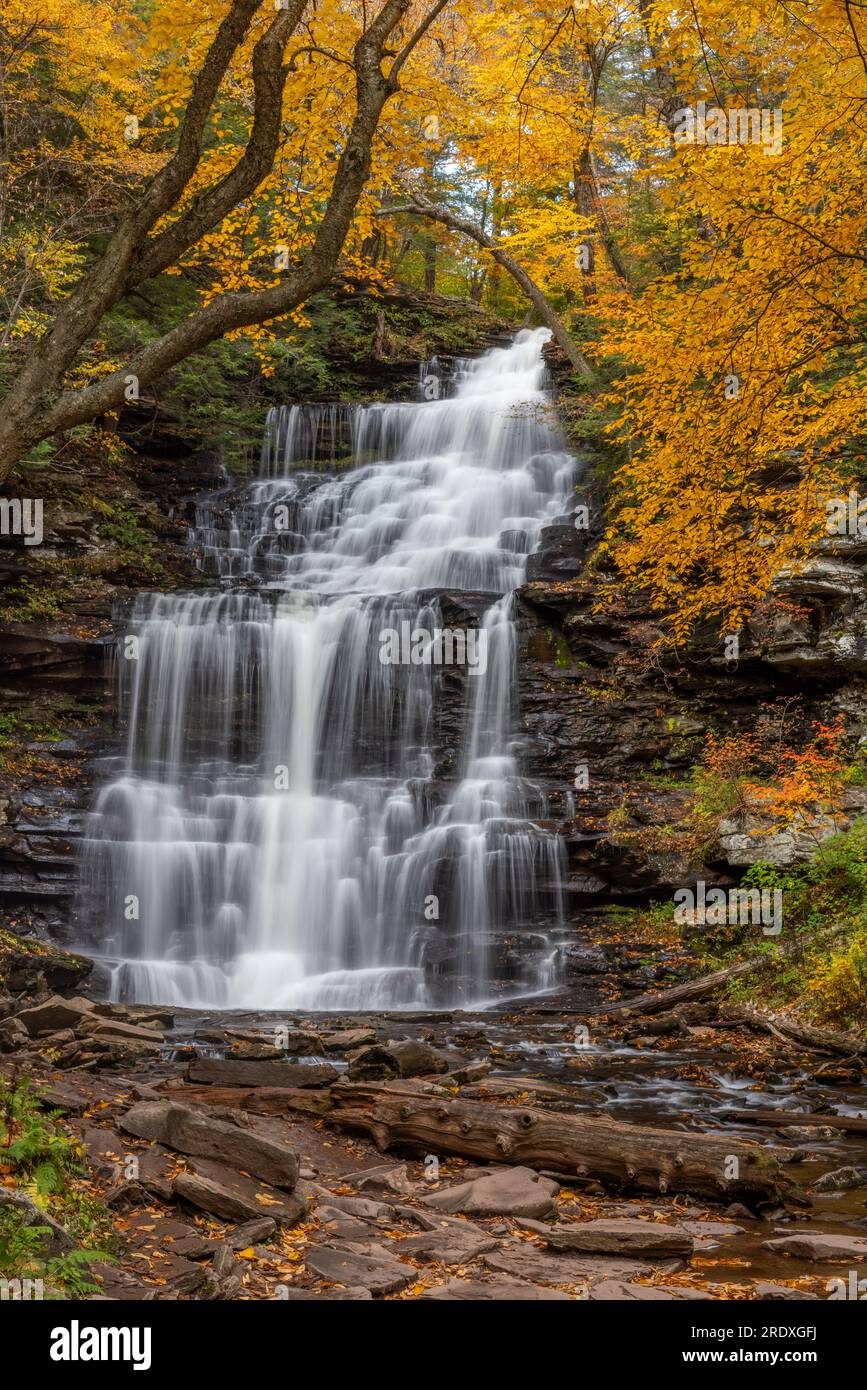 Ganoga Falls in autumn, Ricketts Glen State Park, Pennsylvania Stock Photo - Alamy