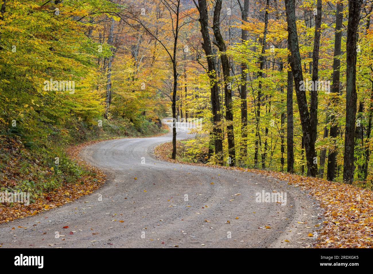 Pennsylvania forest road hi-res stock photography and images - Alamy