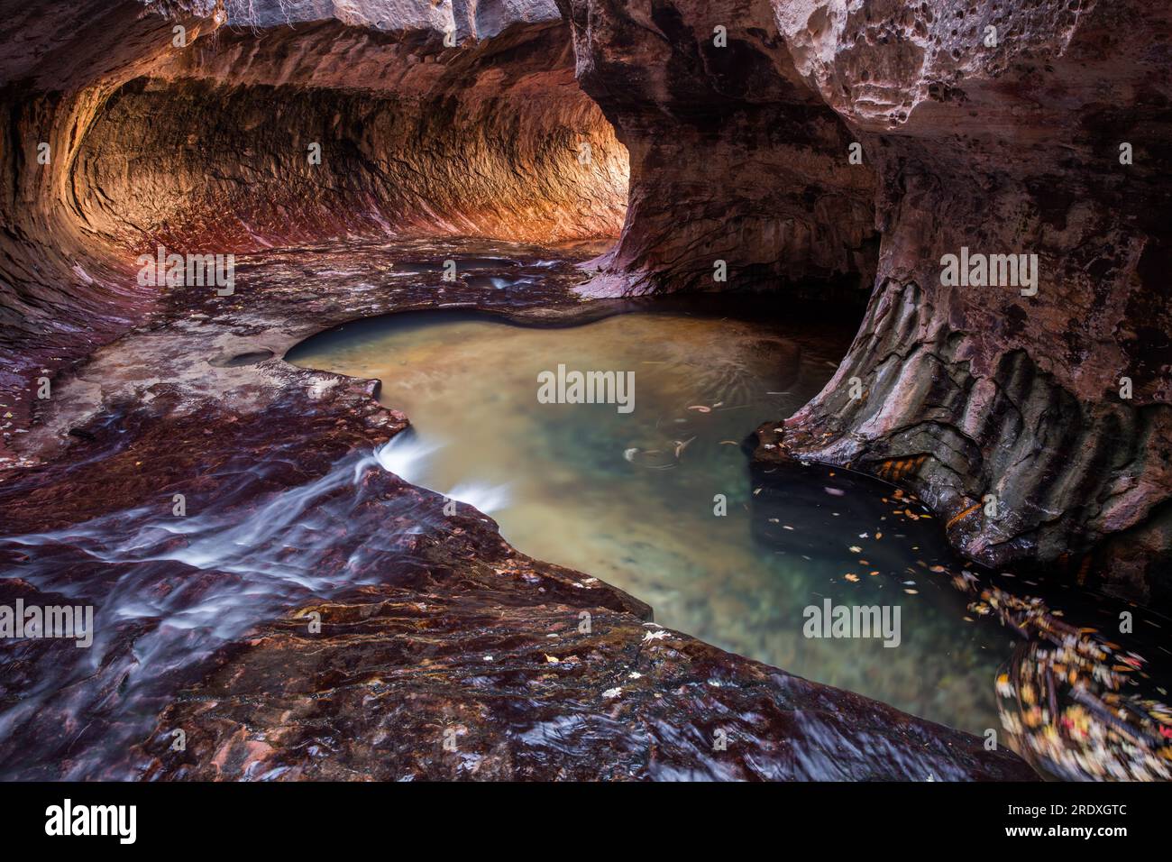 The Subway, Left Fork North Creek, Zion National Park, Utah Stock Photo ...