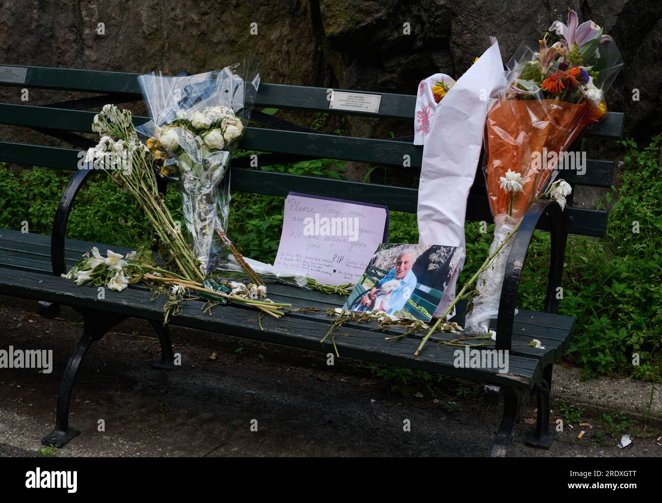 Members only bench hi-res stock photography and images - Alamy