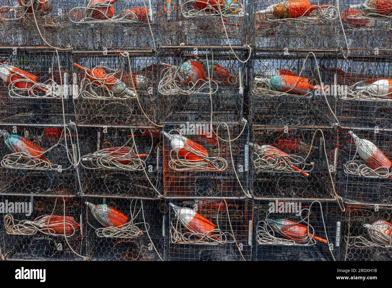 Crab pots with orange buoys on Maryland's Eastern Shore of the ...