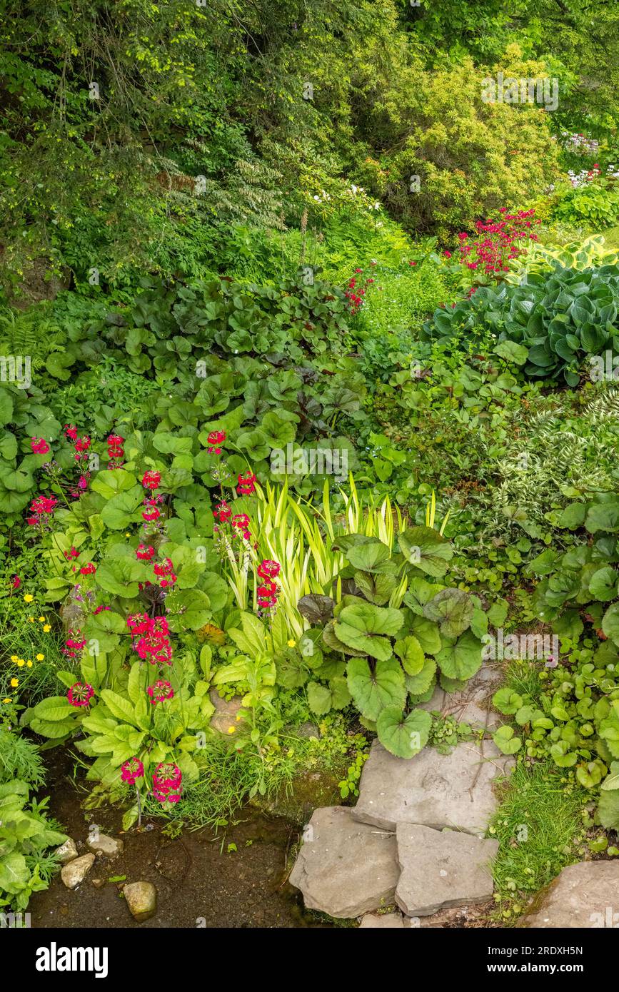 Popular botanic gardens hi-res stock photography and images - Alamy