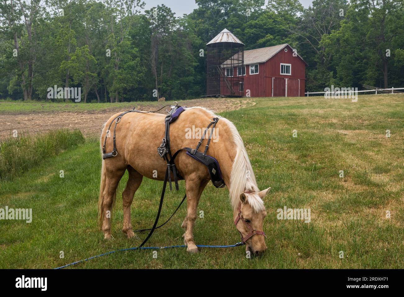 Corn crib hi-res stock photography and images - Alamy