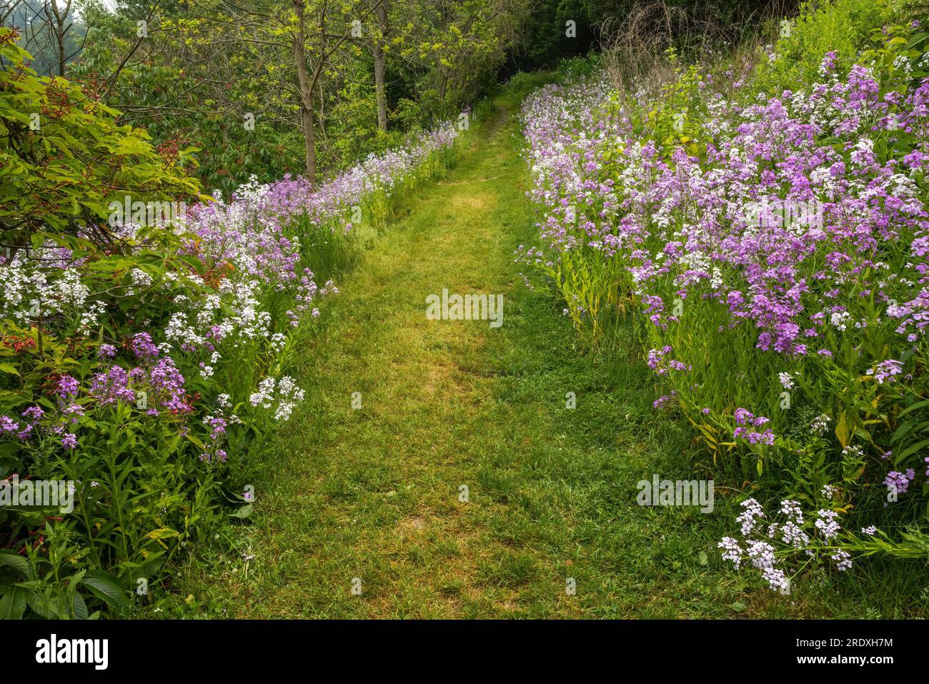 Cornell Botanic Gardens in spring, Ithaca, New York Stock Photo - Alamy