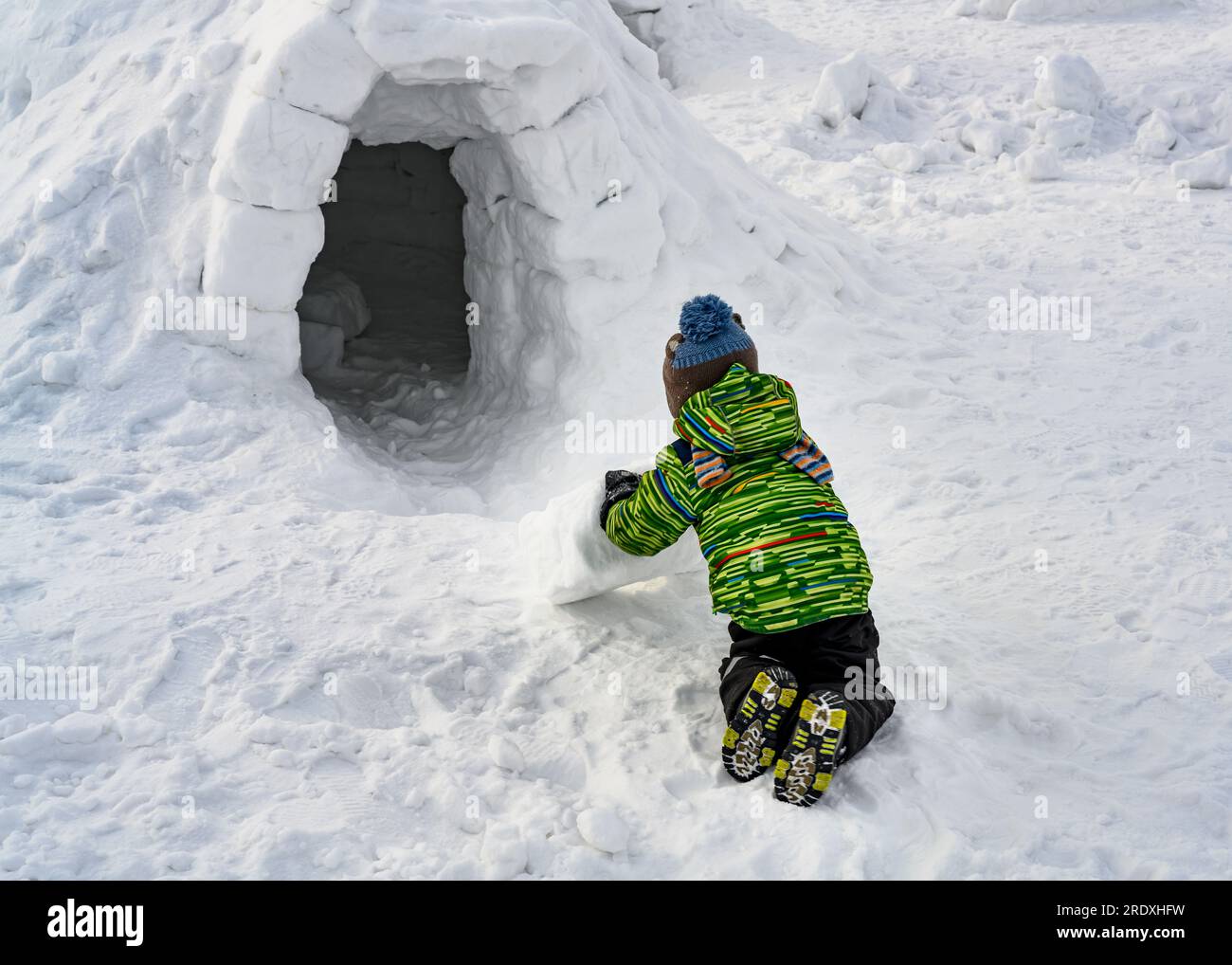 A little boy rolls a snow brick for an igloo, a traditional shelter of ...
