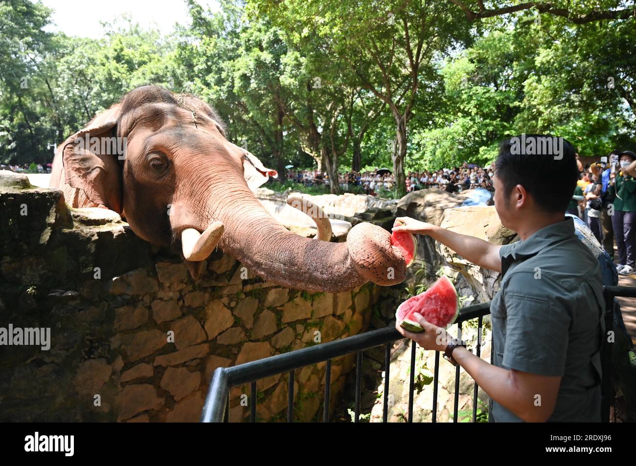 Macau china animal animals hi-res stock photography and images - Alamy