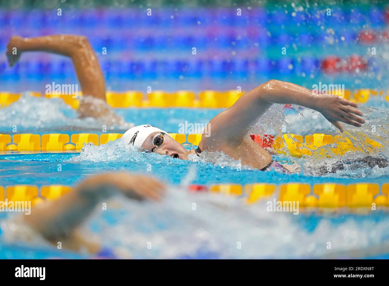 Li Bingjie of China competes in the women's 1500m freestyle at the ...