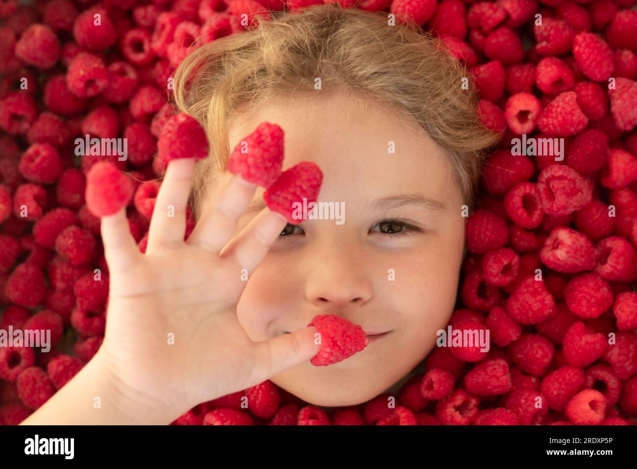 Kid eating ripe healthy berries. Healthy food and raspberry concept ...