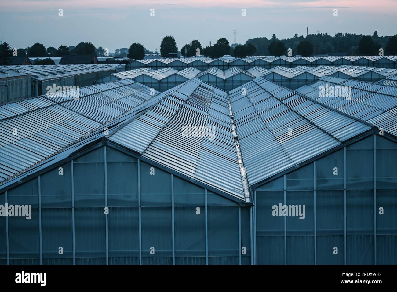 Halte, Germany. 24th July, 2023. Greenhouses of the Horticultural ...