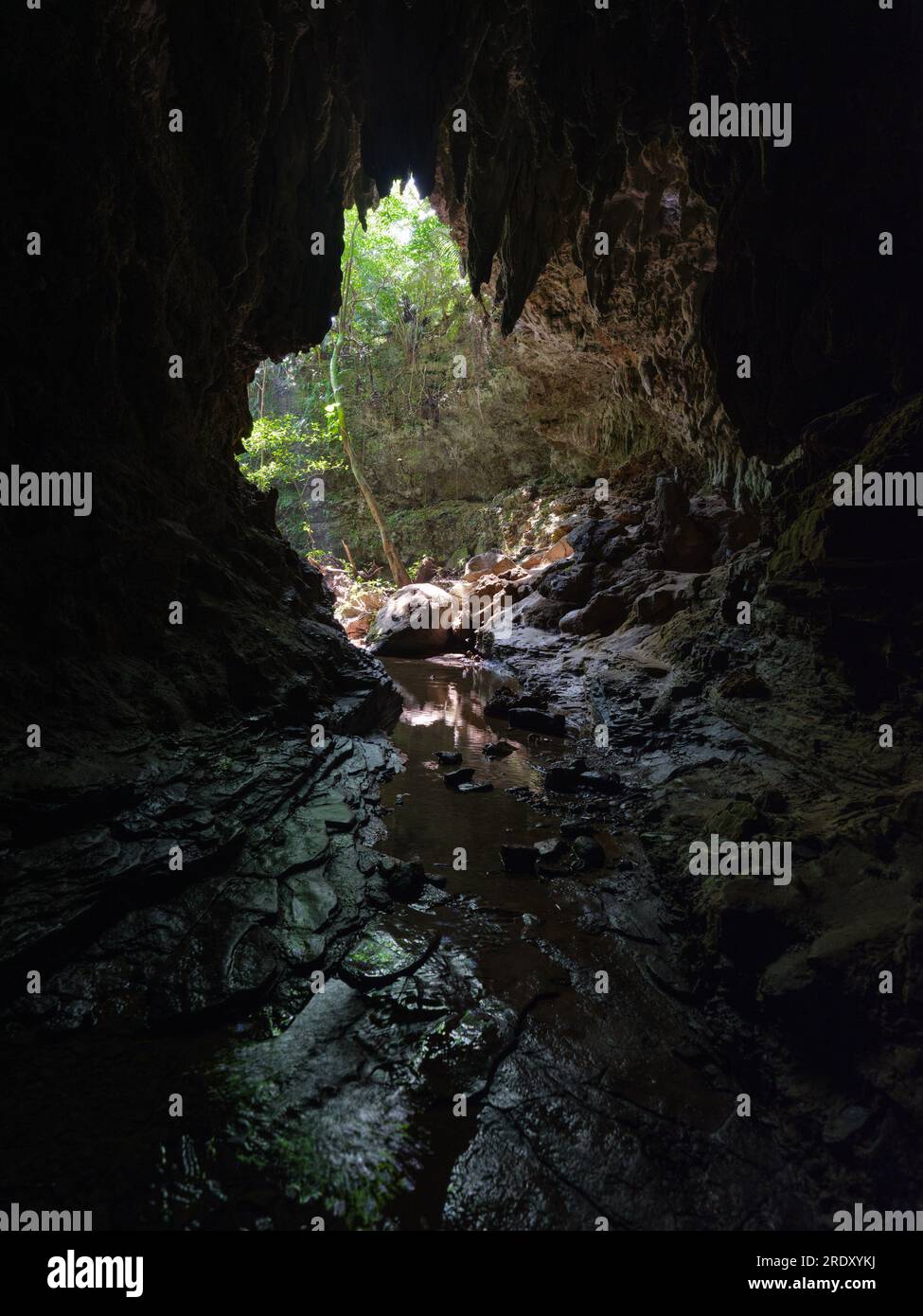 Limestone Cave in Iriomote Island, Okinawa Prefecture, Japan Stock ...