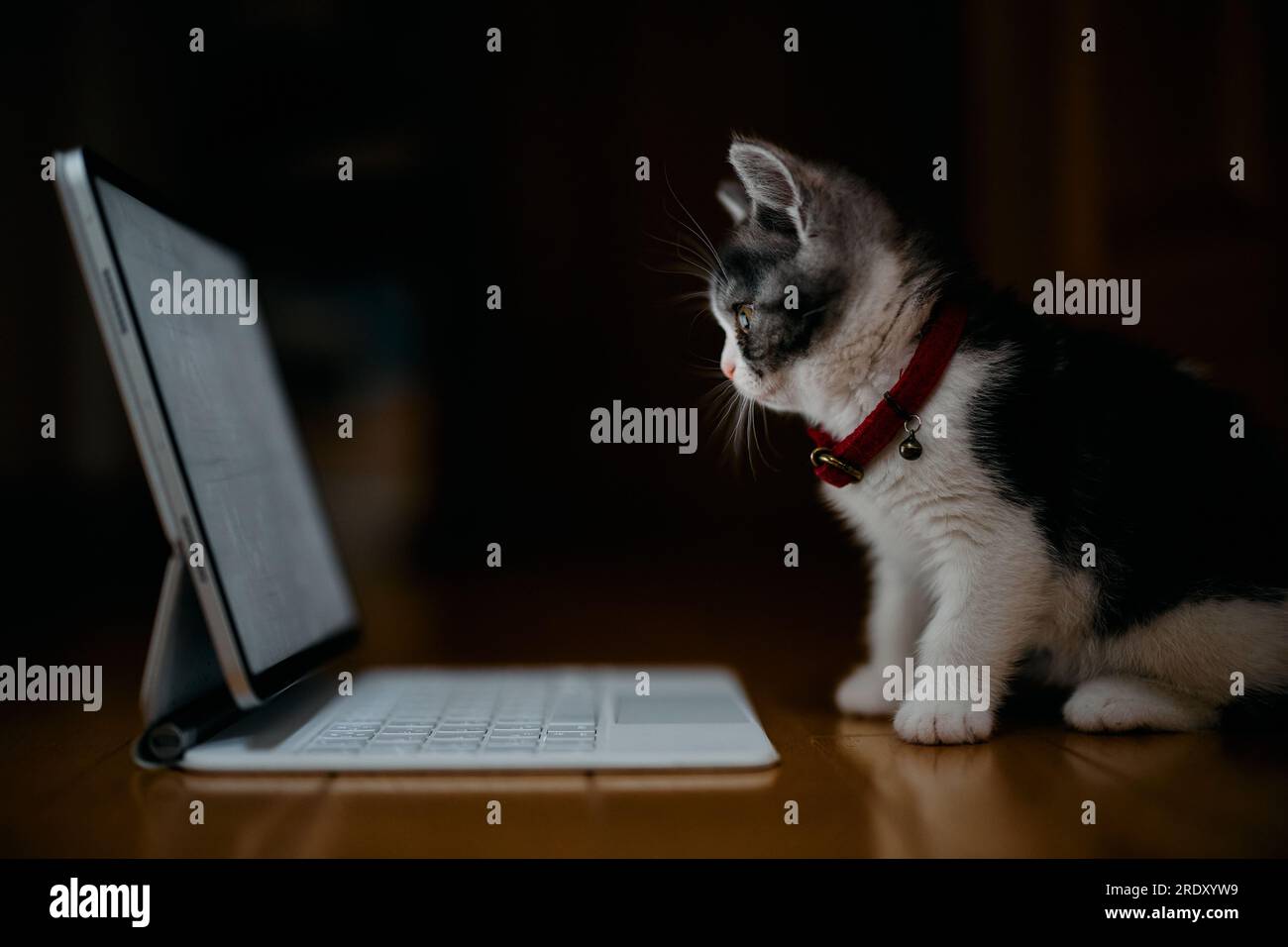 Tablet pc japan hi-res stock photography and images - Alamy