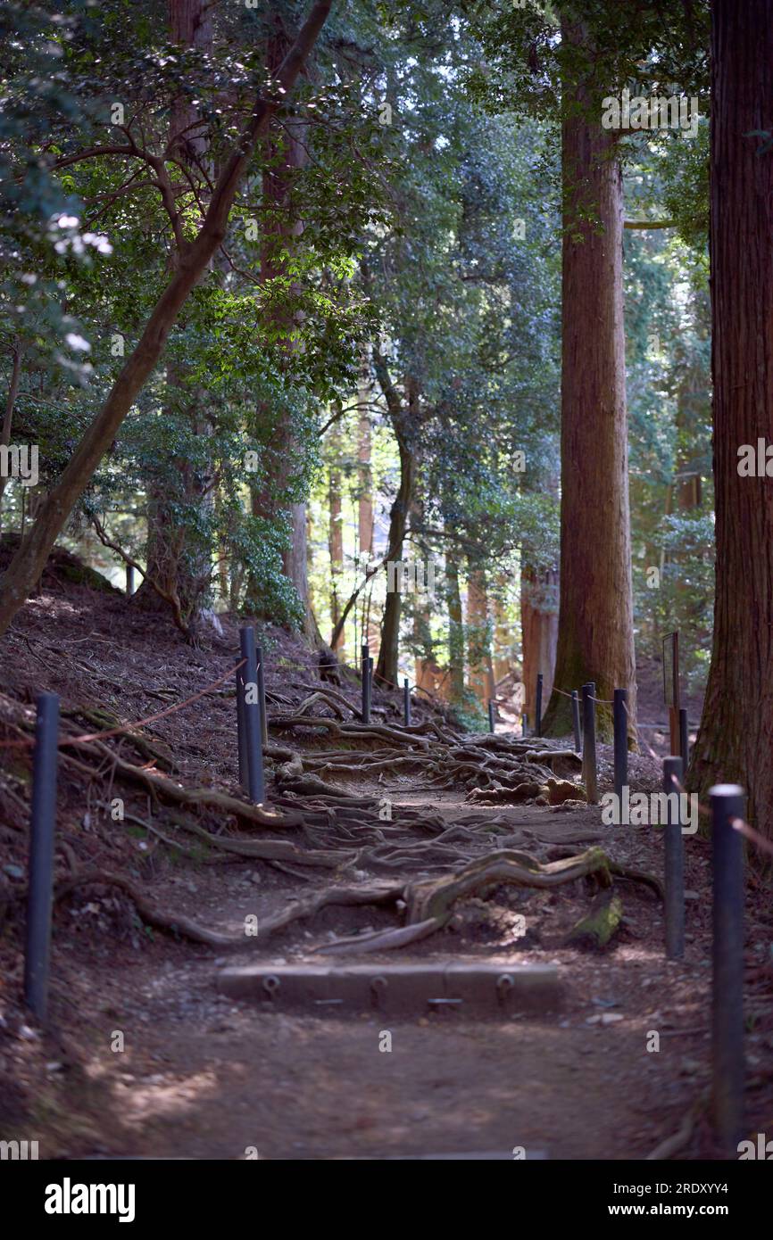 Mountain Path in Mt. Kurama, Kyoto Prefecture, Japan Stock Photo - Alamy
