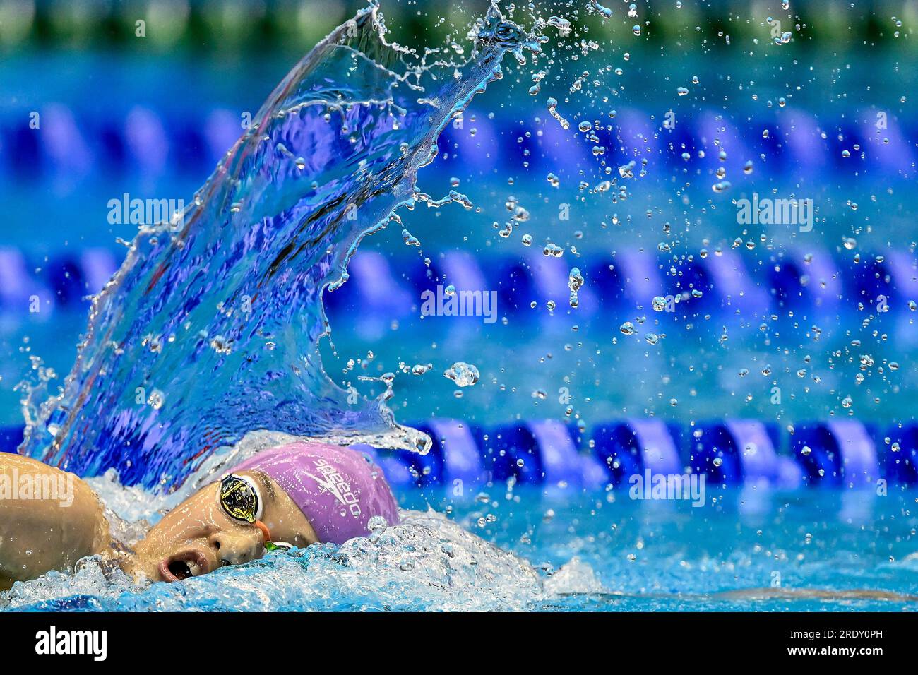 Yiting yu hi-res stock photography and images - Alamy