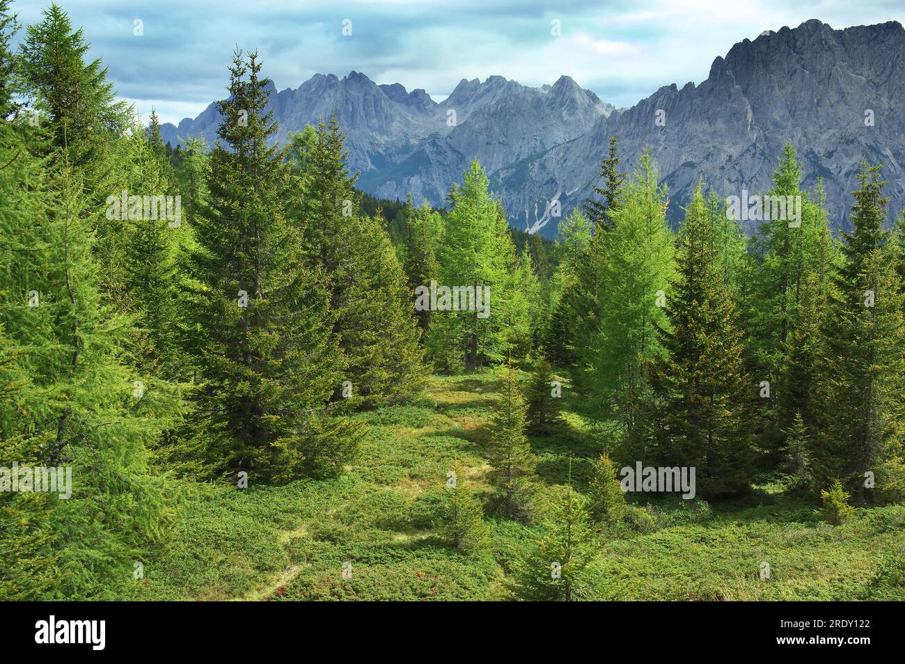 Lienz Dolomites seen from Hochstein above Pustertal, Puster valley ...