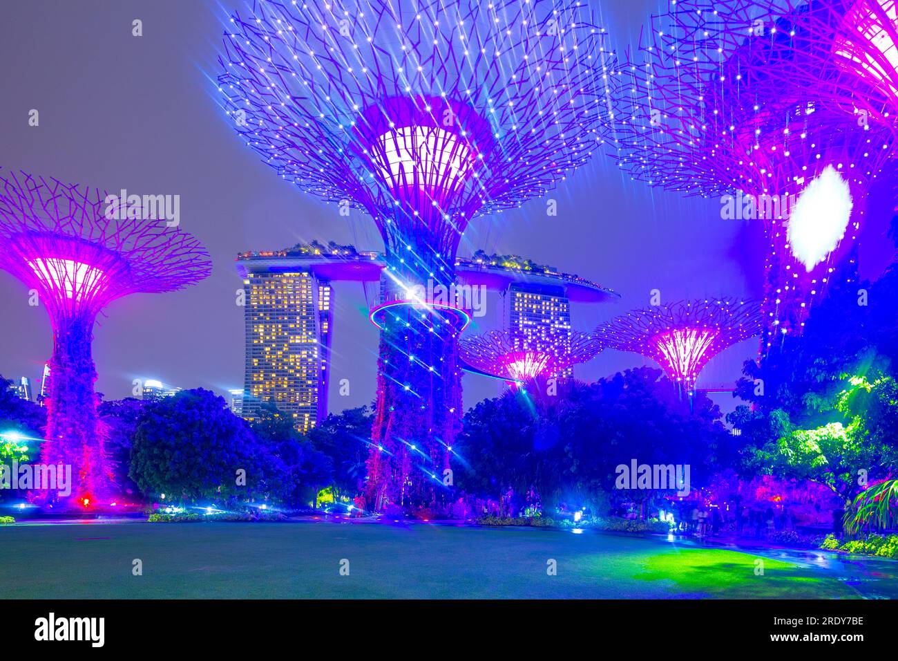 The nightly lightshow at the Supertree Grove of the Gardens By The Bay in Singapore. The Marina ...