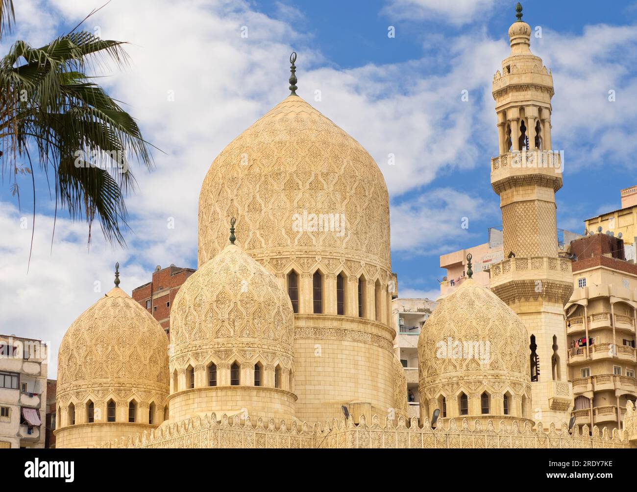 The city of Alexandria is located on the northern, Mediterranean coast ...