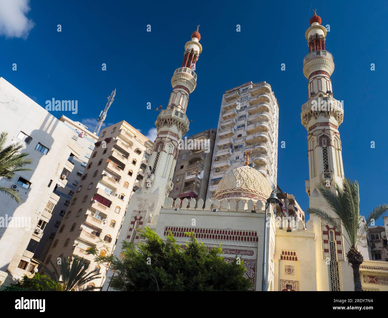 The city of Alexandria is located on the northern, Mediterranean coast ...