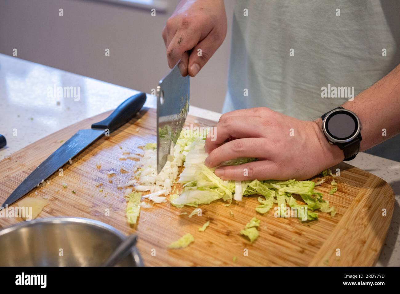 Hands of man chopping Chinese cabbage, preparing for fillings to make ...