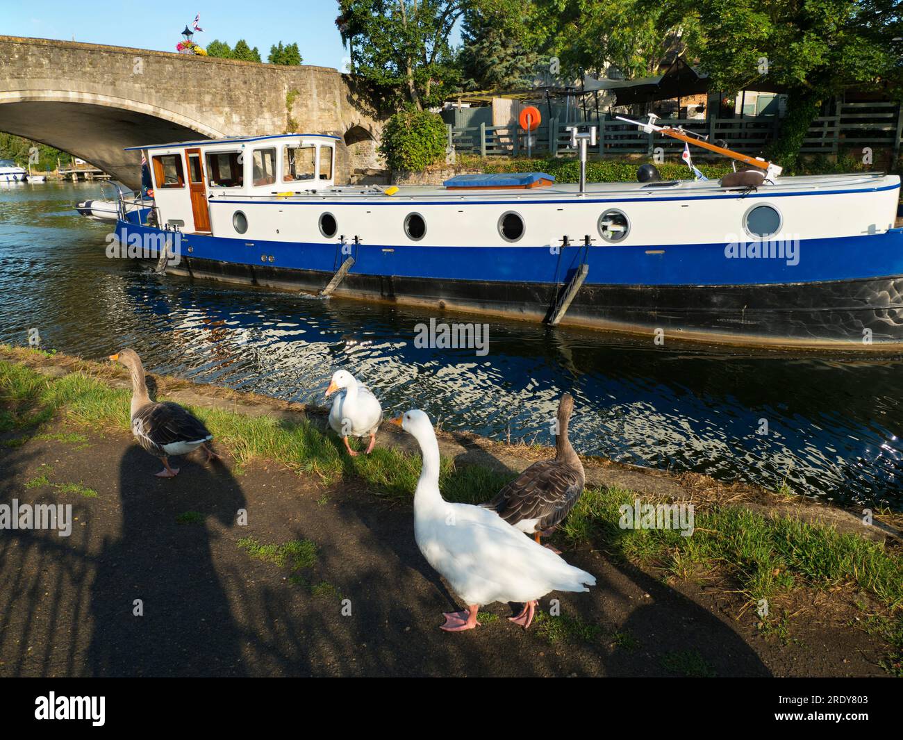 The Thames at Abingdon, early on a summer morning. A houseboat passes ...
