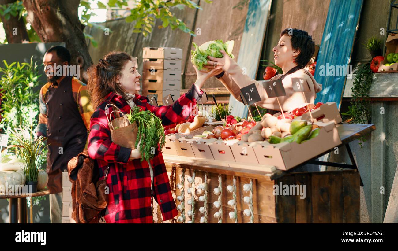 Female farmer giving fresh produce to vegetarian client, selling ...