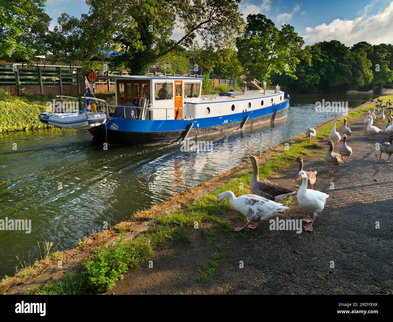 The Thames at Abingdon, early on a summer morning. A houseboat passes ...