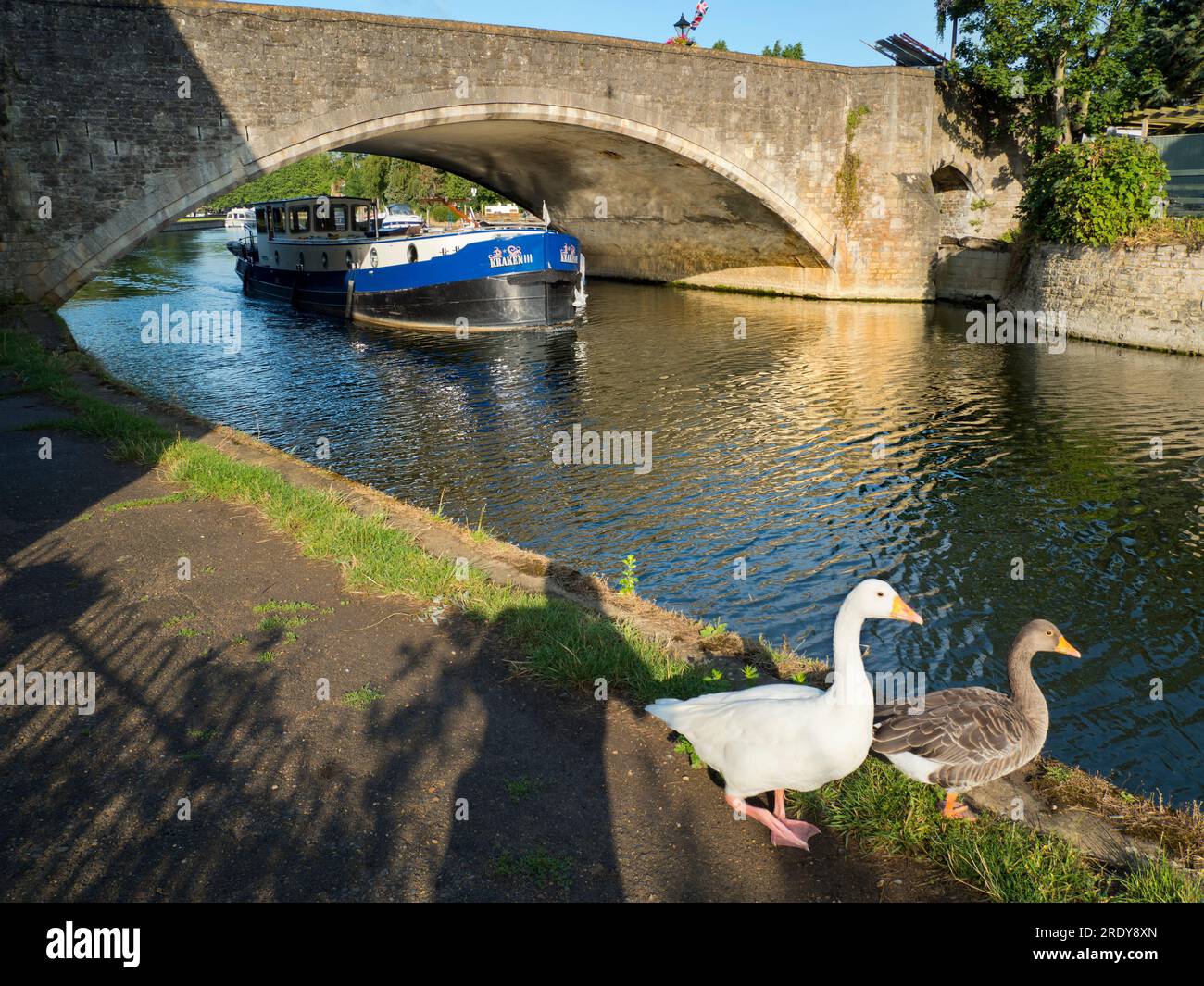 The Thames at Abingdon, early on a summer morning. A houseboat passes ...