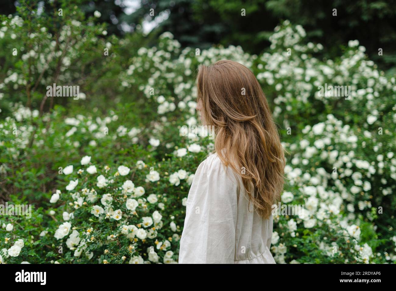 All blond bush caucasian hi-res stock photography and images - Alamy