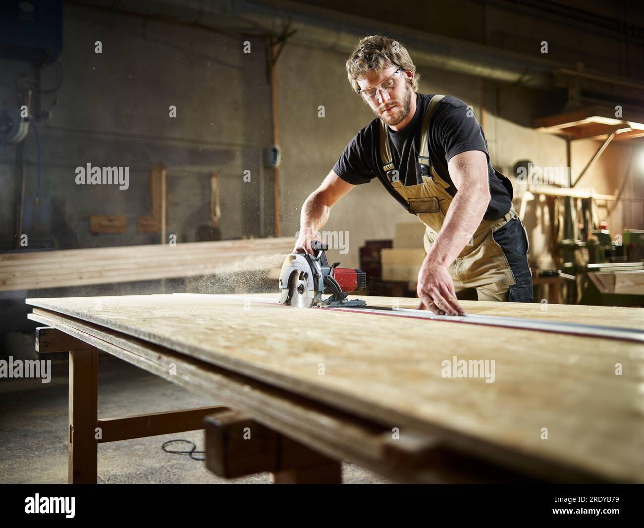 Carpenter cutting oriented strand board with circular saw in workshop ...
