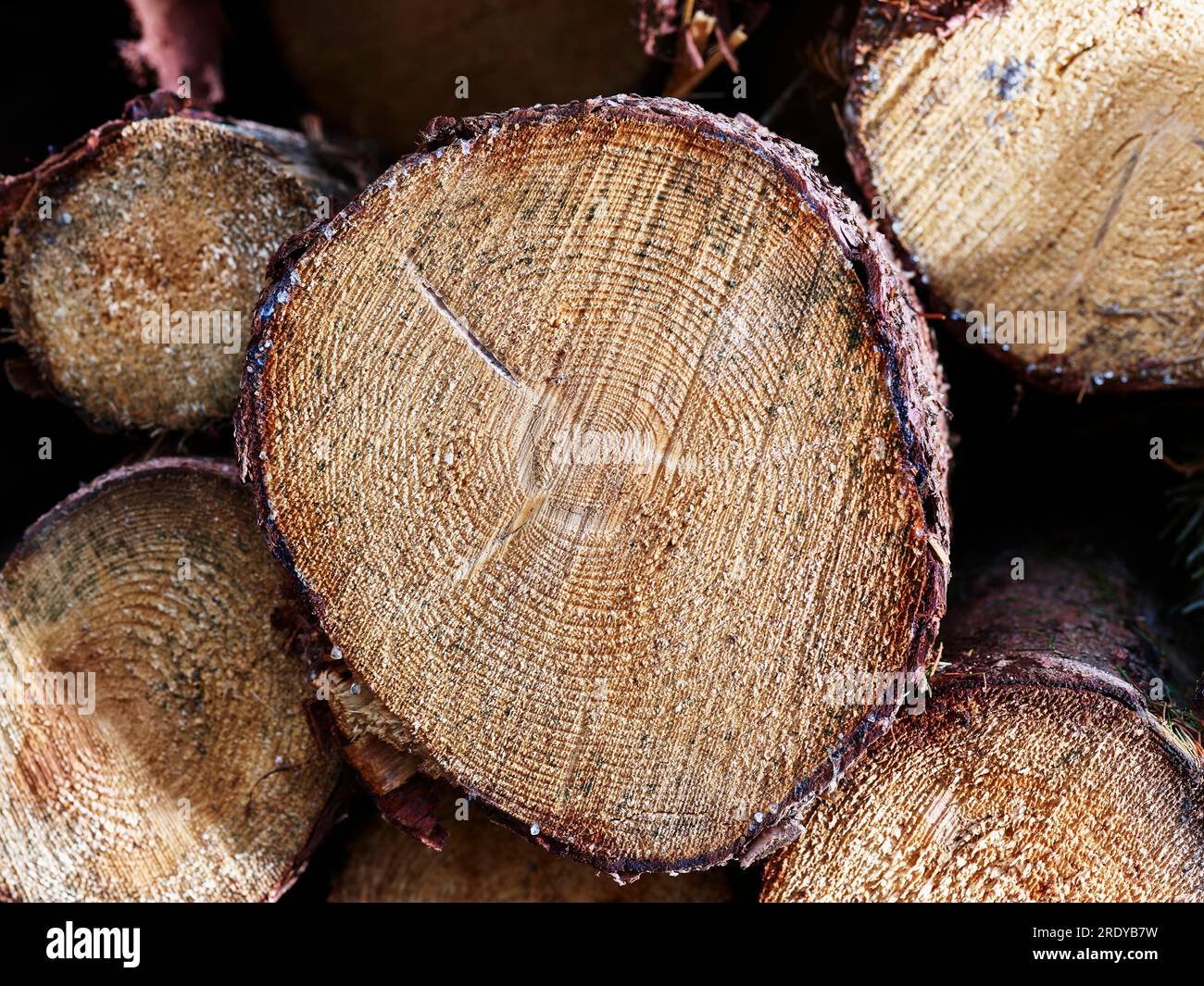 Wooden logs stacked hi-res stock photography and images - Alamy