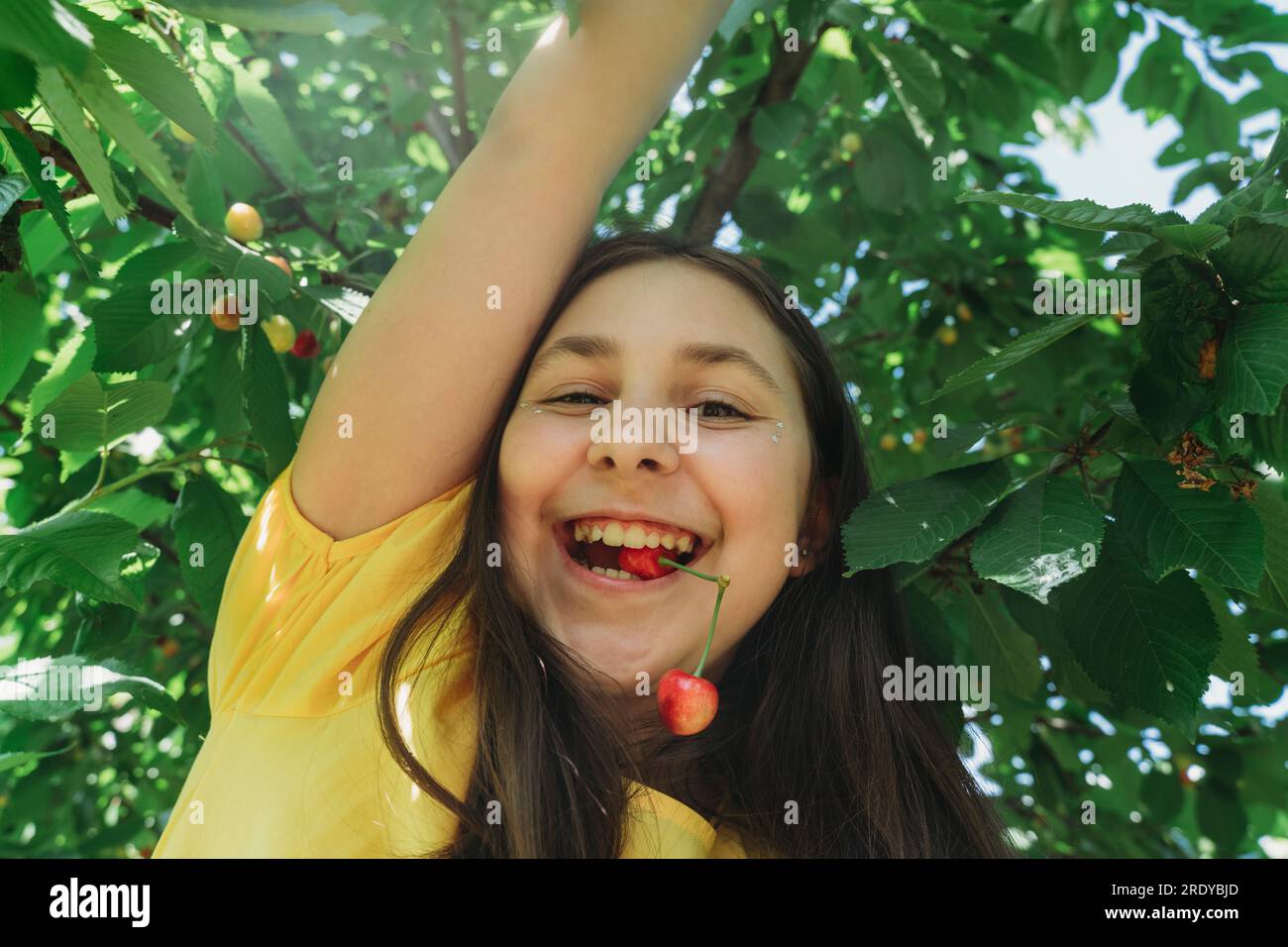 Smiling girl biting cherry in garden Stock Photo - Alamy