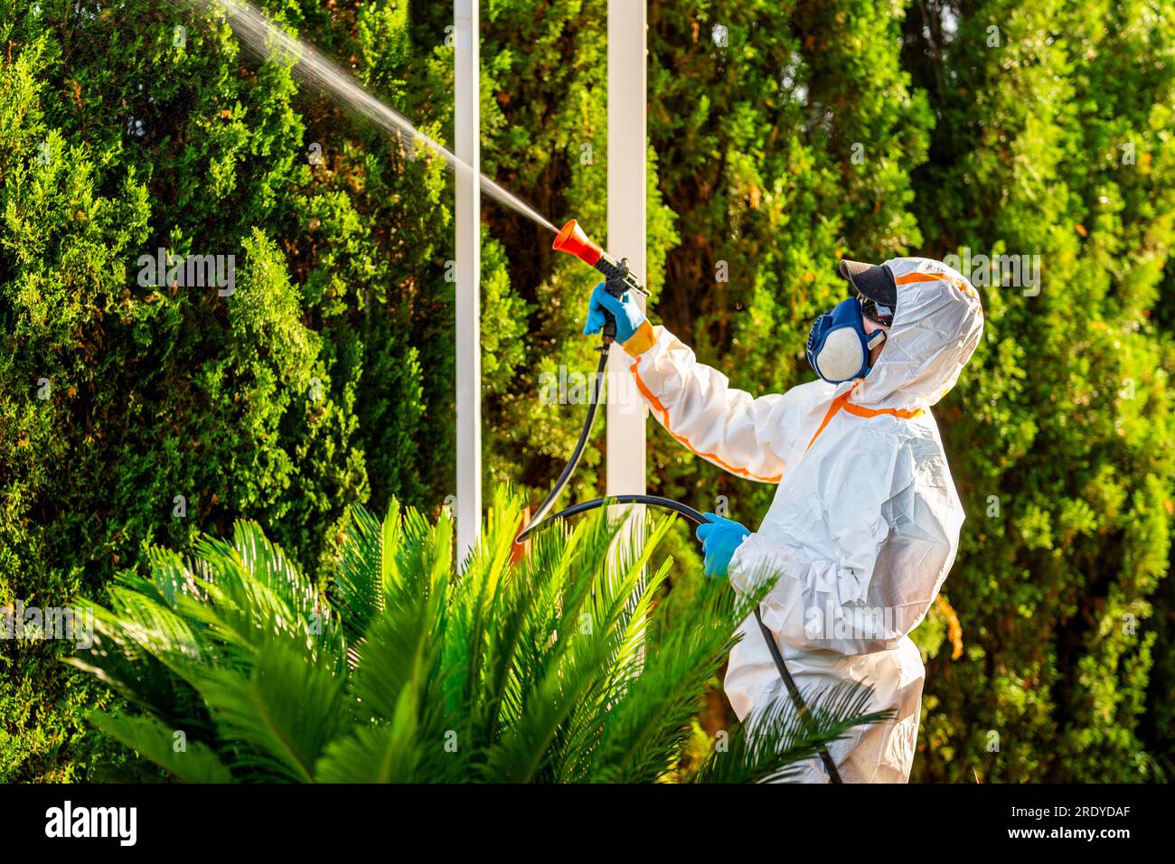 Insecticide spraying hi-res stock photography and images - Alamy