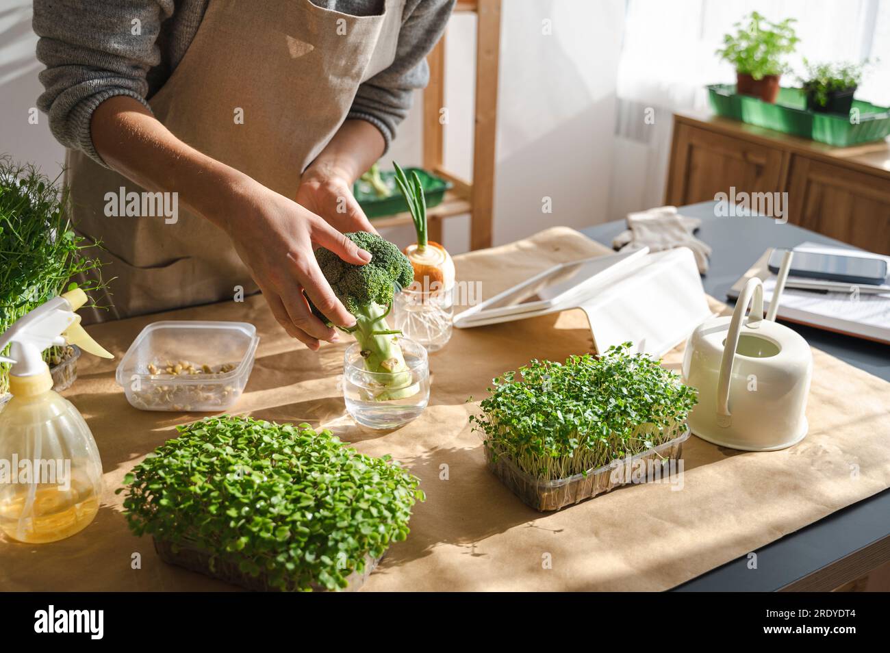 Midsection woman putting tablet hi-res stock photography and images - Alamy